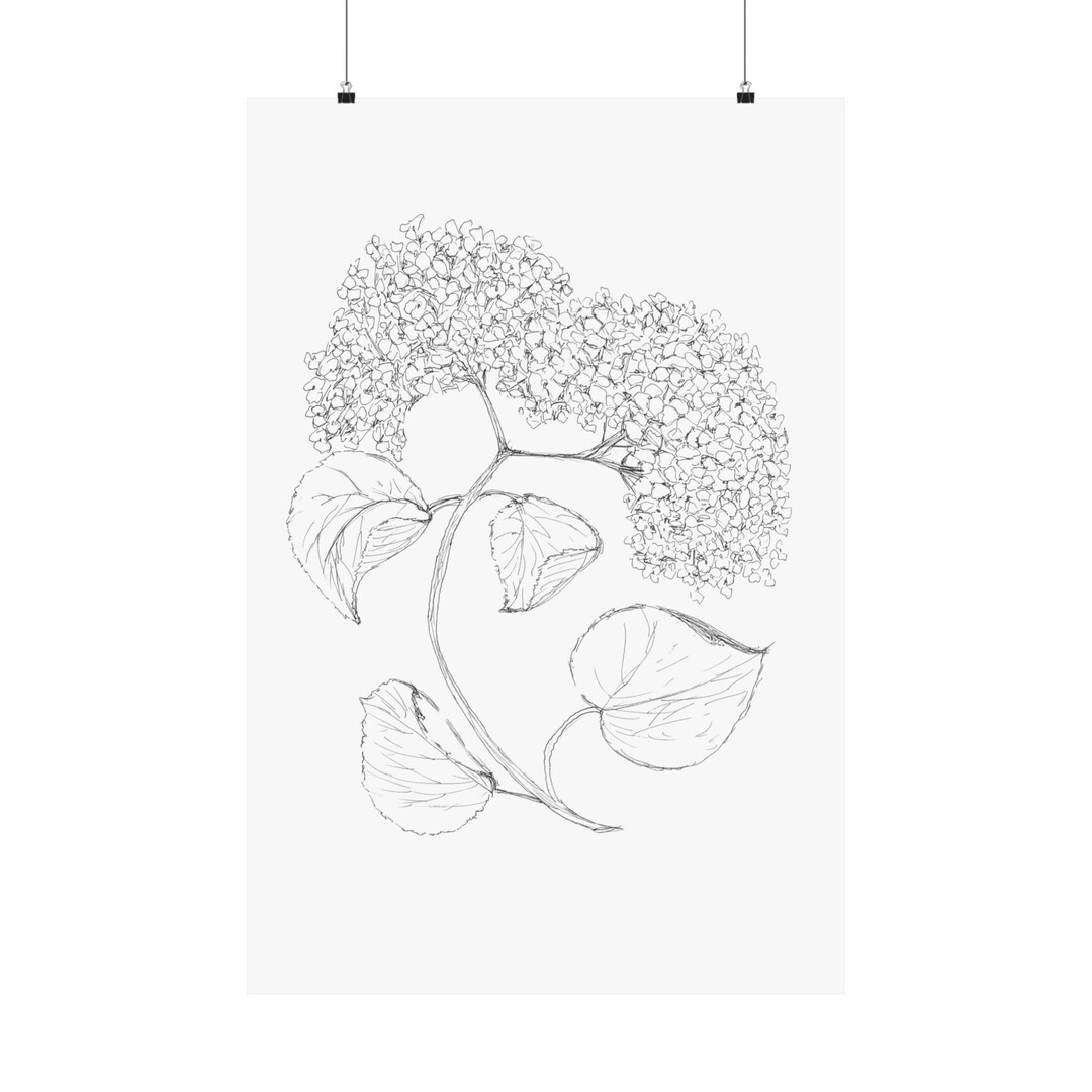 Print of Hand Drawn Hydrangea in Black Ink Pen Matte Vertical Posters ...