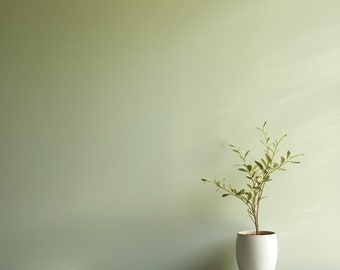 Simple Minimalist White Wall Virtual Background Zoom Background Room ...