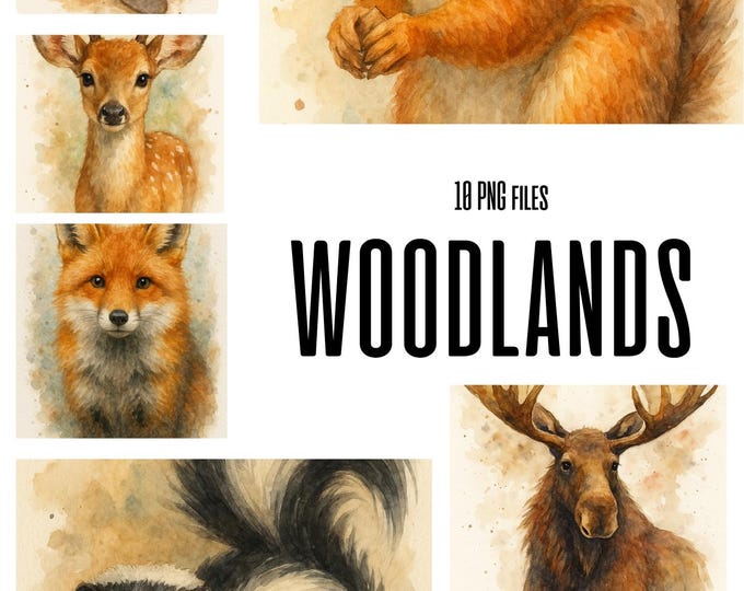 63 Images Cute Woodland Animals: Digital Art, Printable Digital ...