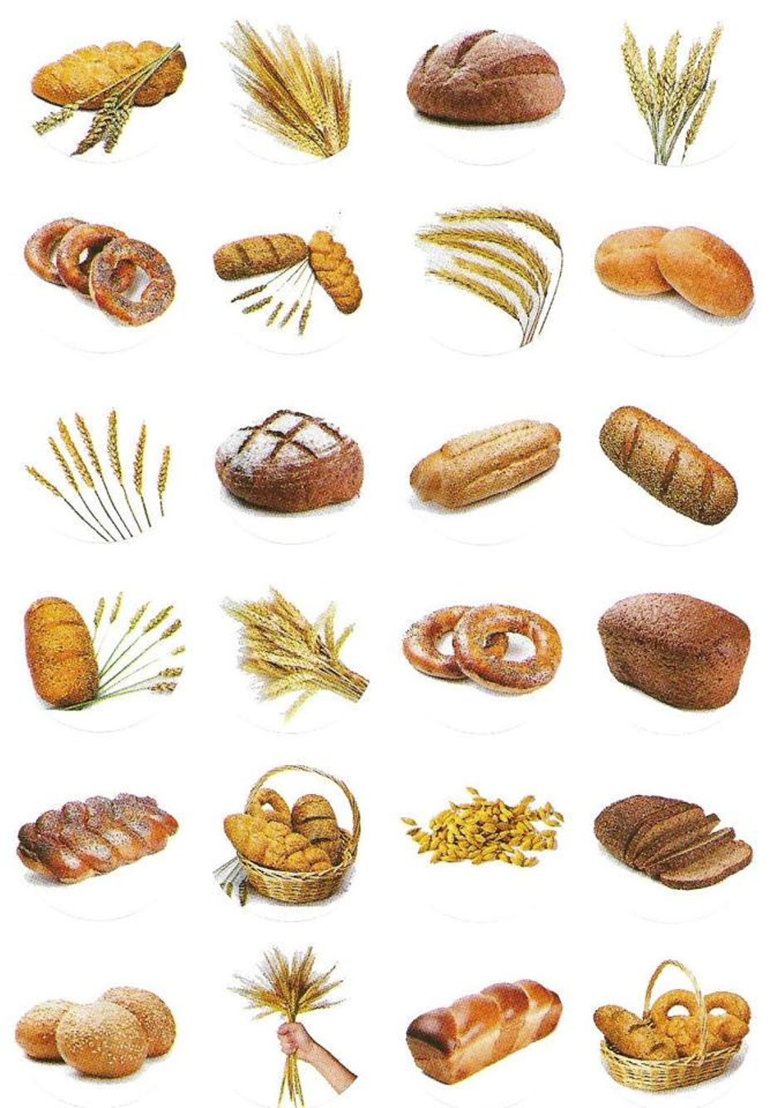 Hamotzi Stickers – Judaic Classroom Craft & Brachos Sticker Sheets - Etsy