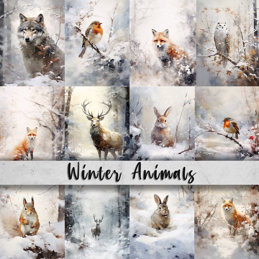 Winter Animals - 12 Forest Creature Art Pages/ Backgrounds (8.5x11 ...