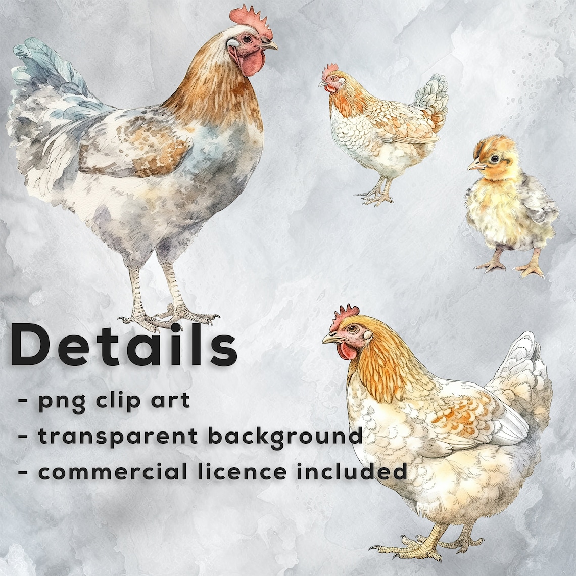 Watercolor Chickens Clipart PNG Bundle Cute Chickens and - Etsy