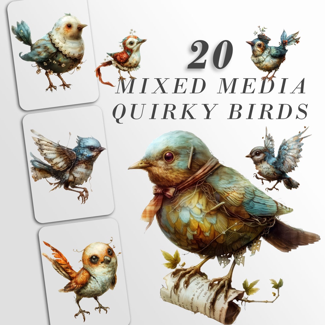 Mixed Media Birds Clipart: Quirky Birds | Whimsical Bird Graphics ...