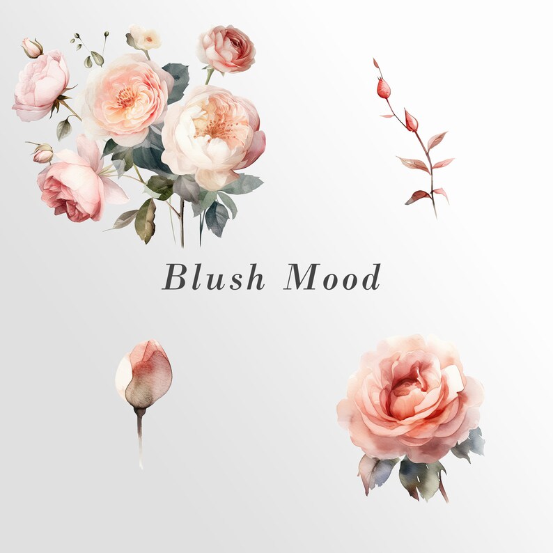 Blush Floral Clipart, Watercolor Roses Clipart, Floral Watercolor ...