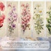 12 Birth Month Flower Printable Bookmarks | Digital Download JPG ...