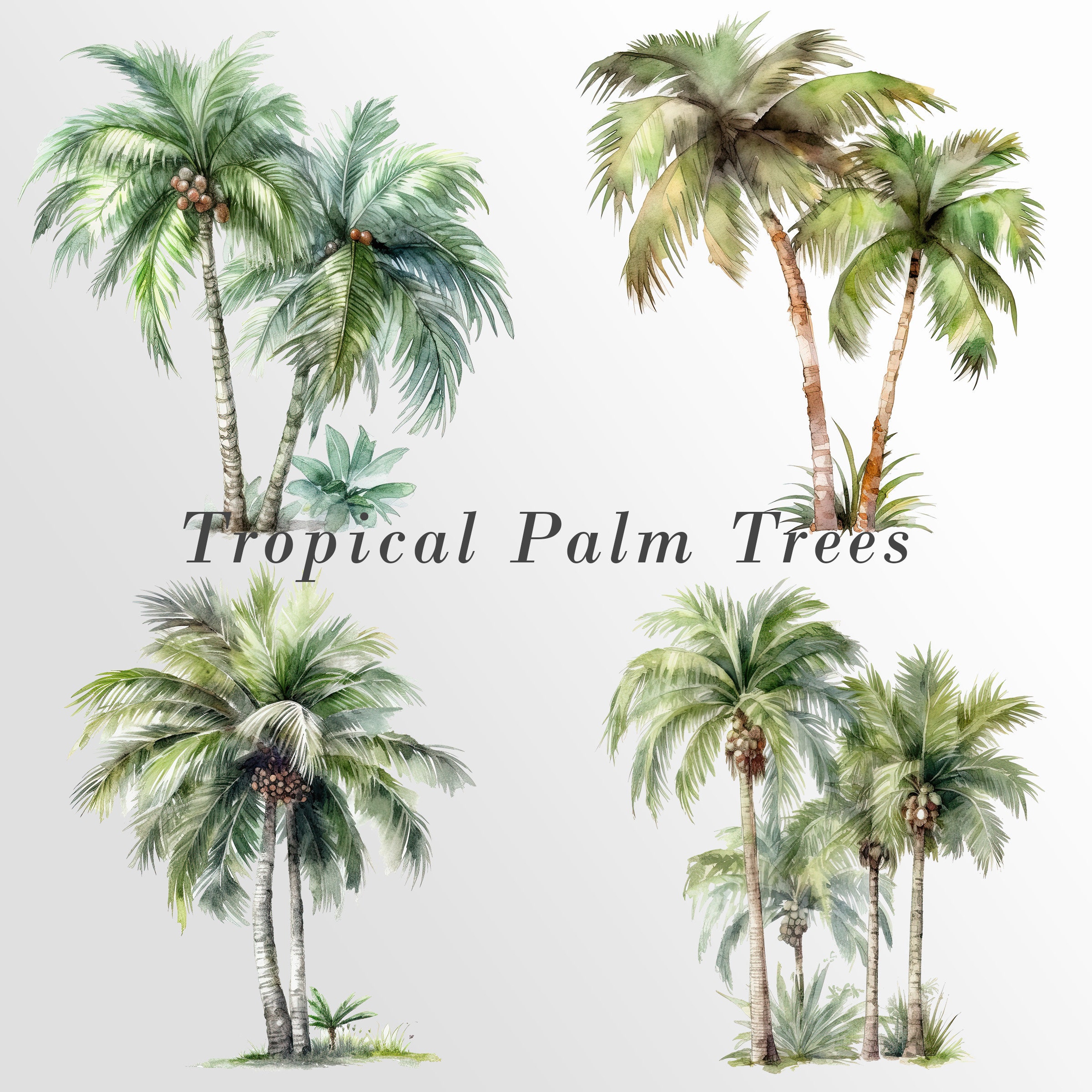 Tropical Watercolor Palm Trees Tropical Clip Art Palm Trees - Etsy
