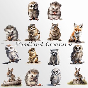 Woodland Animals Clipart Watercolor, Clipart for Commercial Use ...