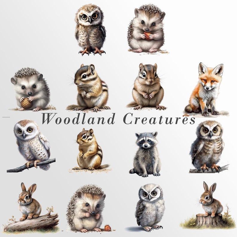 Woodland Animals Clipart Watercolor, Clipart for Commercial Use ...