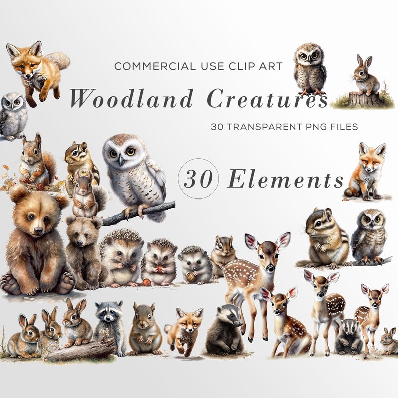 Woodland Animals Clipart Watercolor Clipart for Commercial - Etsy