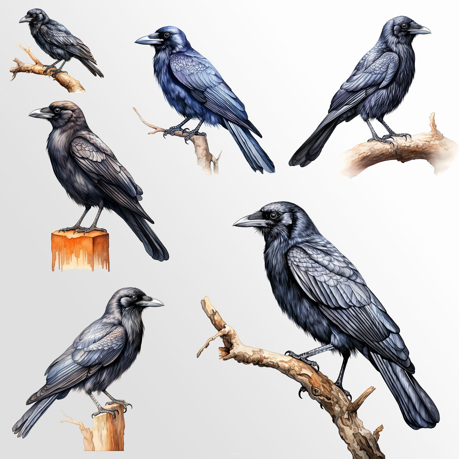30 Crows Clipart Bundle: Halloween Art for Crafts and Decor | PNG ...