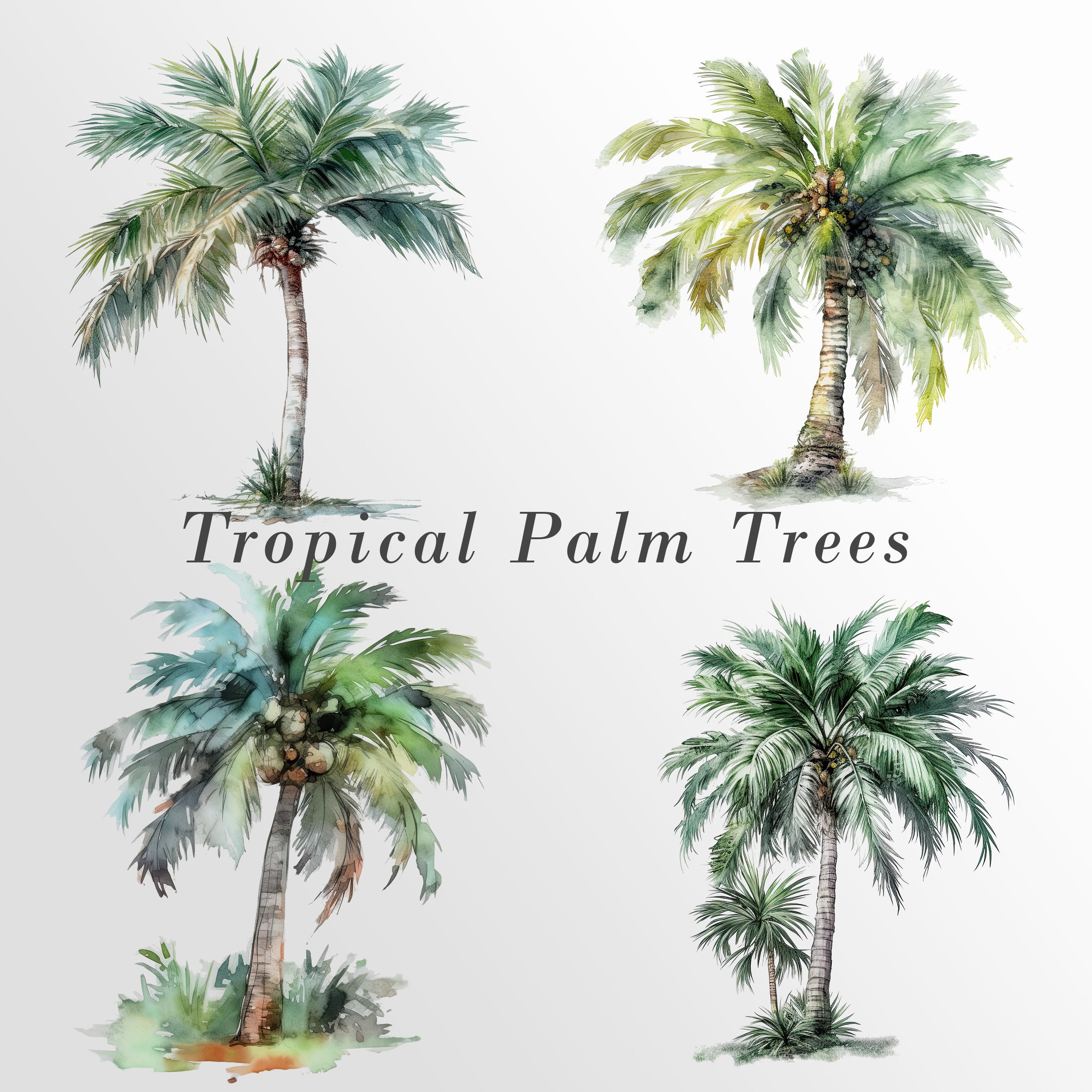 Tropical Watercolor Palm Trees Tropical Clip Art Palm Trees - Etsy