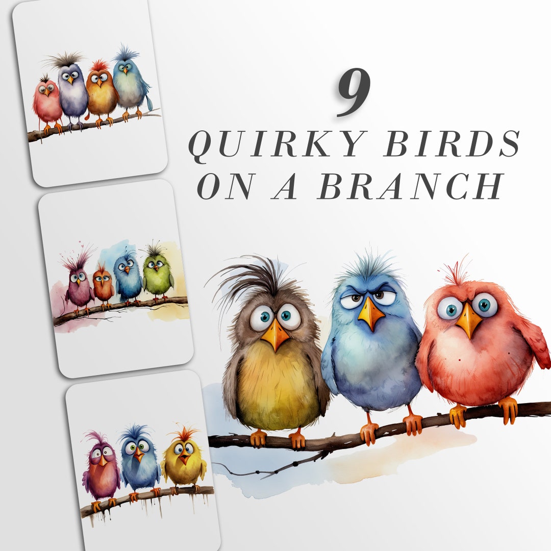 Funny Birds Watercolour Clipart Funny Bird Images Ostrich Bird PNG ...