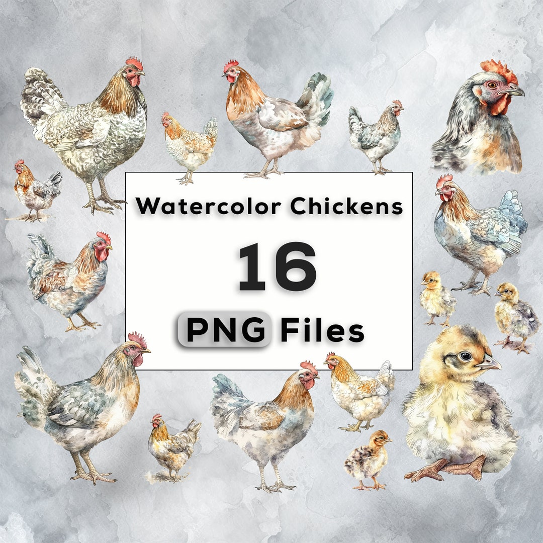 Watercolor Chickens Clipart PNG Bundle, Cute Chickens and Chicks, Farm ...