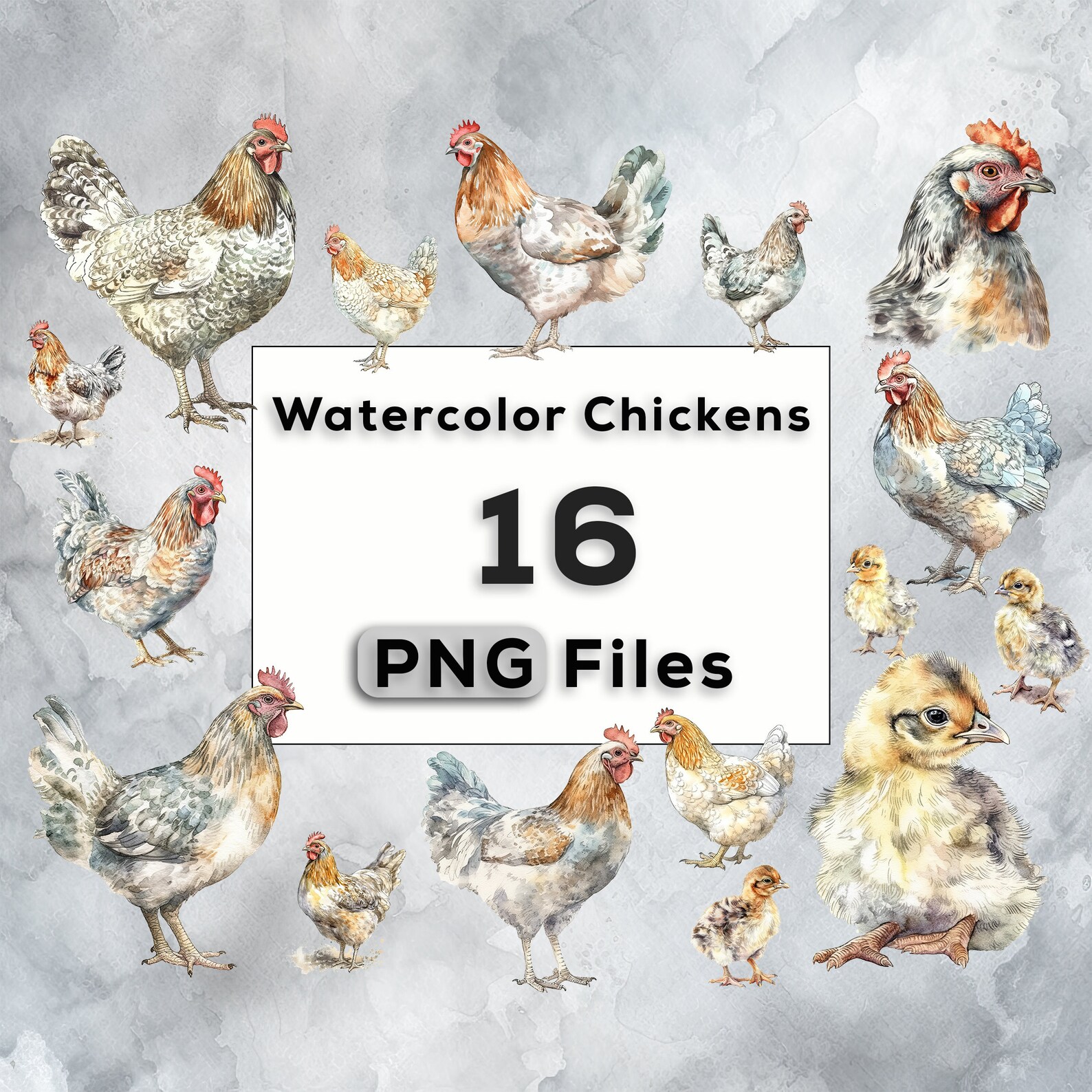 Watercolor Chickens Clipart PNG Bundle Cute Chickens and - Etsy