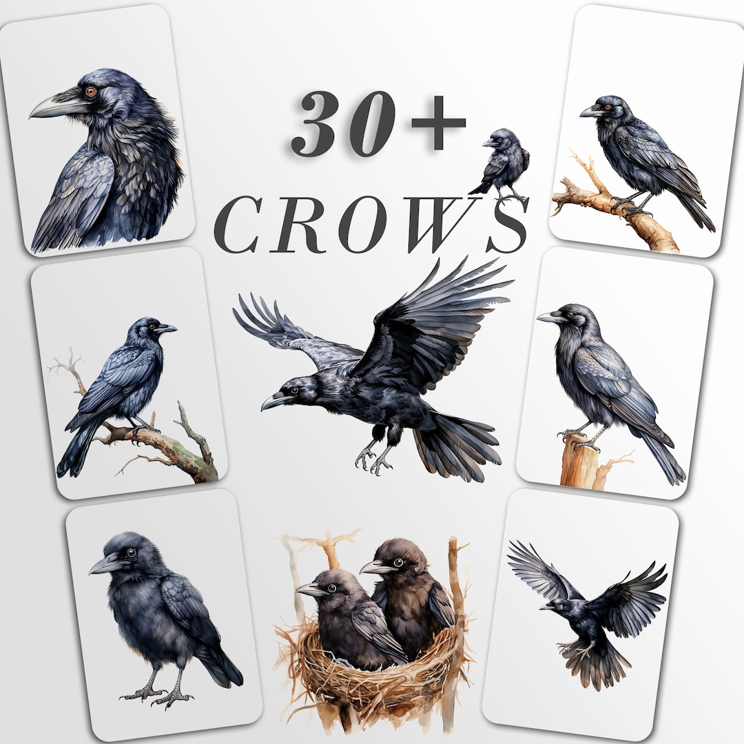 30 Crows Clipart Bundle: Halloween Art for Crafts and Decor | PNG ...