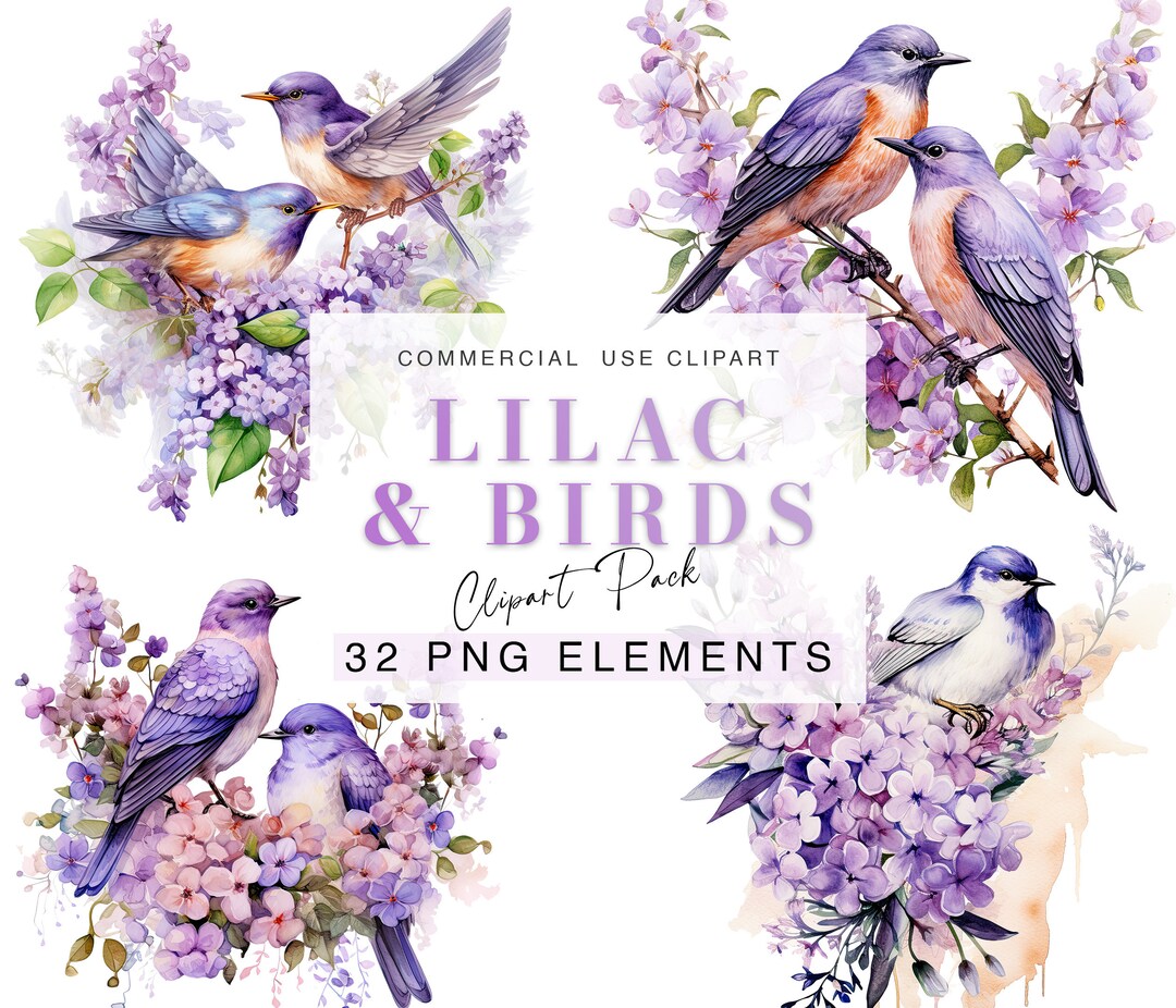 Lilac Birds and Flowers Clipart| Nursery Art| Instant Digital Download ...