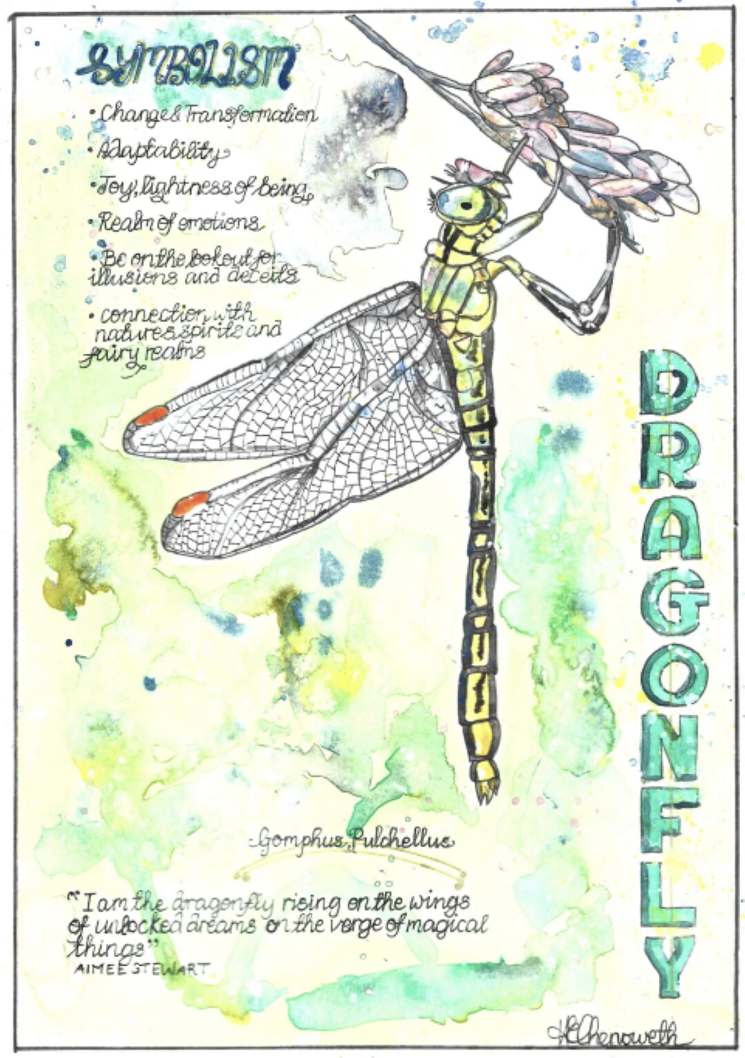 Wildlife Dragonfly Original Artwork for Book of Shadows - Etsy