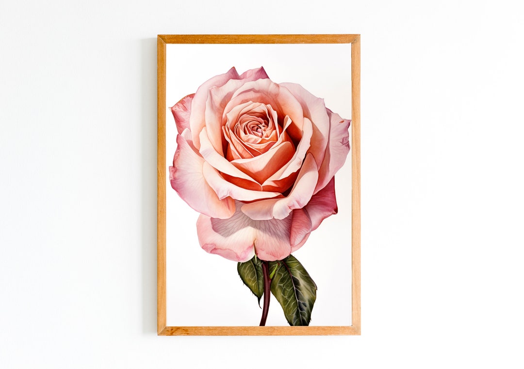 Watercolor Red Rose Flower Print | Creamy Red Rose Art Print | Rose ...
