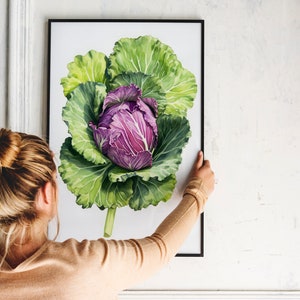 Watercolor Ornamental Cabbage Flower Print | Cabbage Flower Art Print ...
