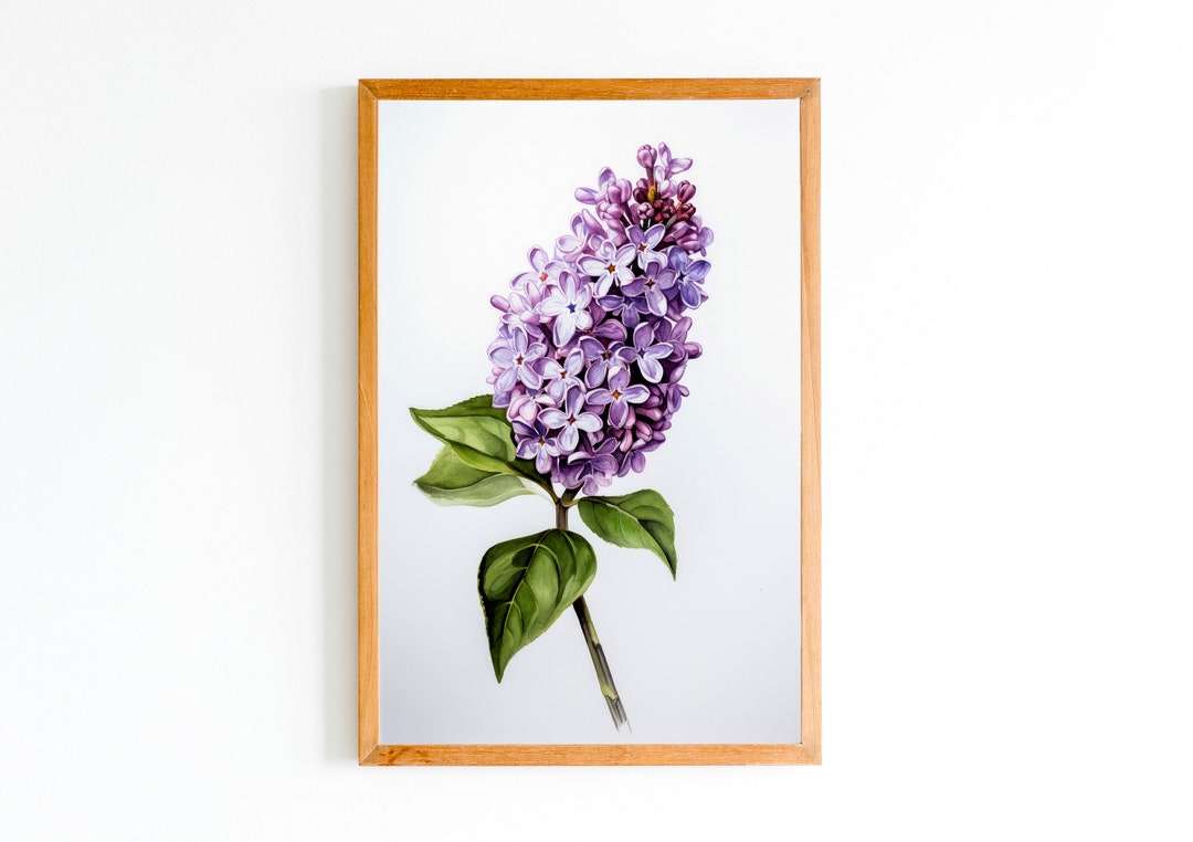 Watercolor Lilac Flower Print | Lilac Art Print | Lilac Wall Decor ...
