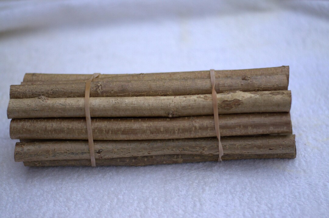 15ps Hazelnut Sticks,2-3cm Diameter. - Etsy