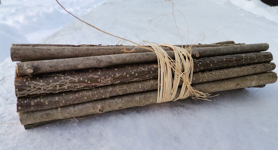 Hazelnut Tree Wooden Sticks,30cm,set of 25 With Diameter 6-18mm. - Etsy