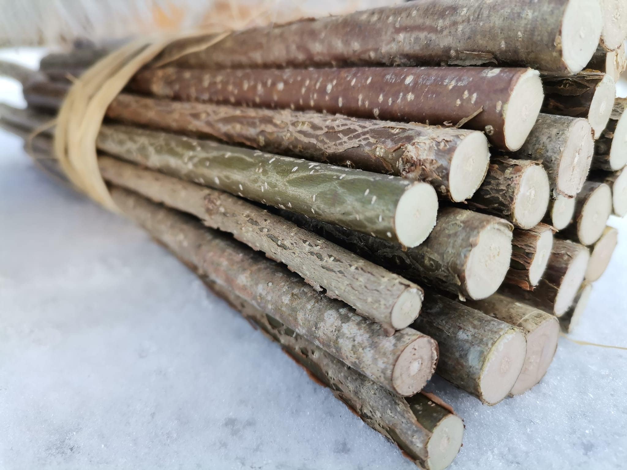 Hazelnut Tree Wooden Sticks,30cm,set of 25 With Diameter 6-18mm. - Etsy