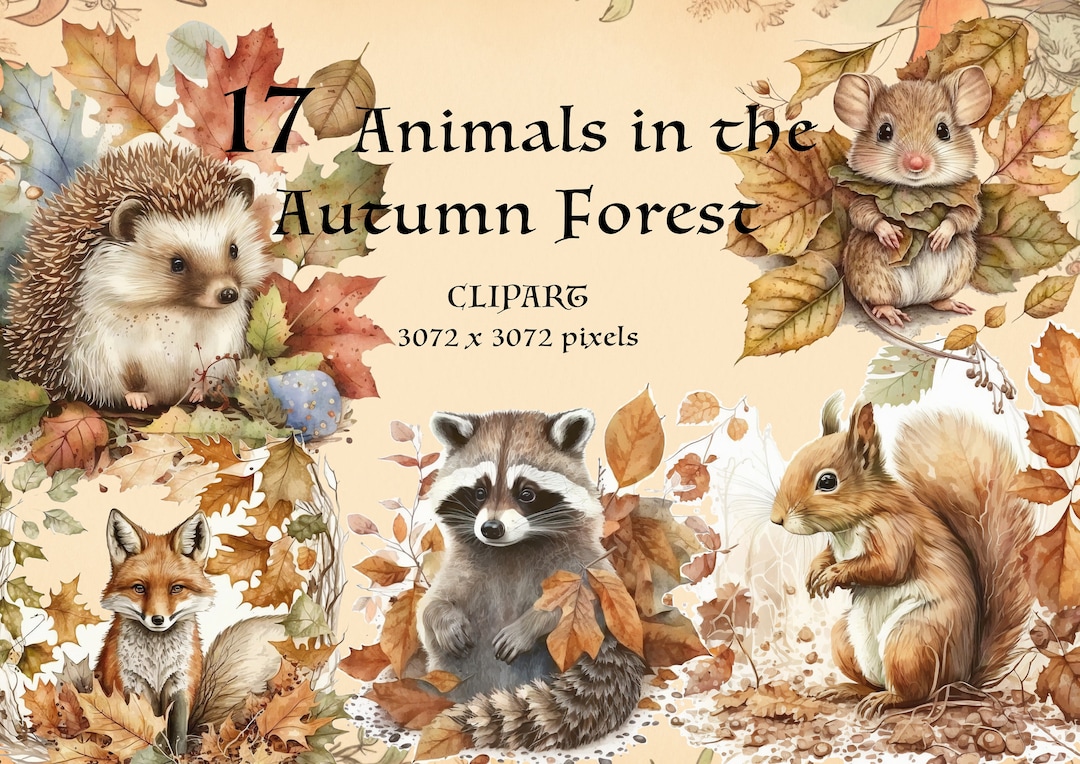 17 Cute Animals in the Autumn Forest. Fall Aesthetic Rural Cottagecore ...