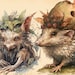 16 Forest Elementals PNG. Faery. Fantasía. Nature Spirit, Elemental ...