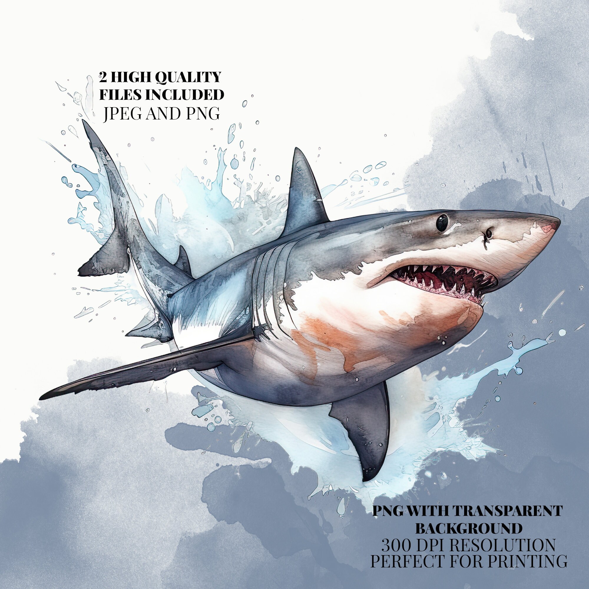 Shark Watercolor PNG Commercial Use Clip Art, Sea Art Clipart PNG ...