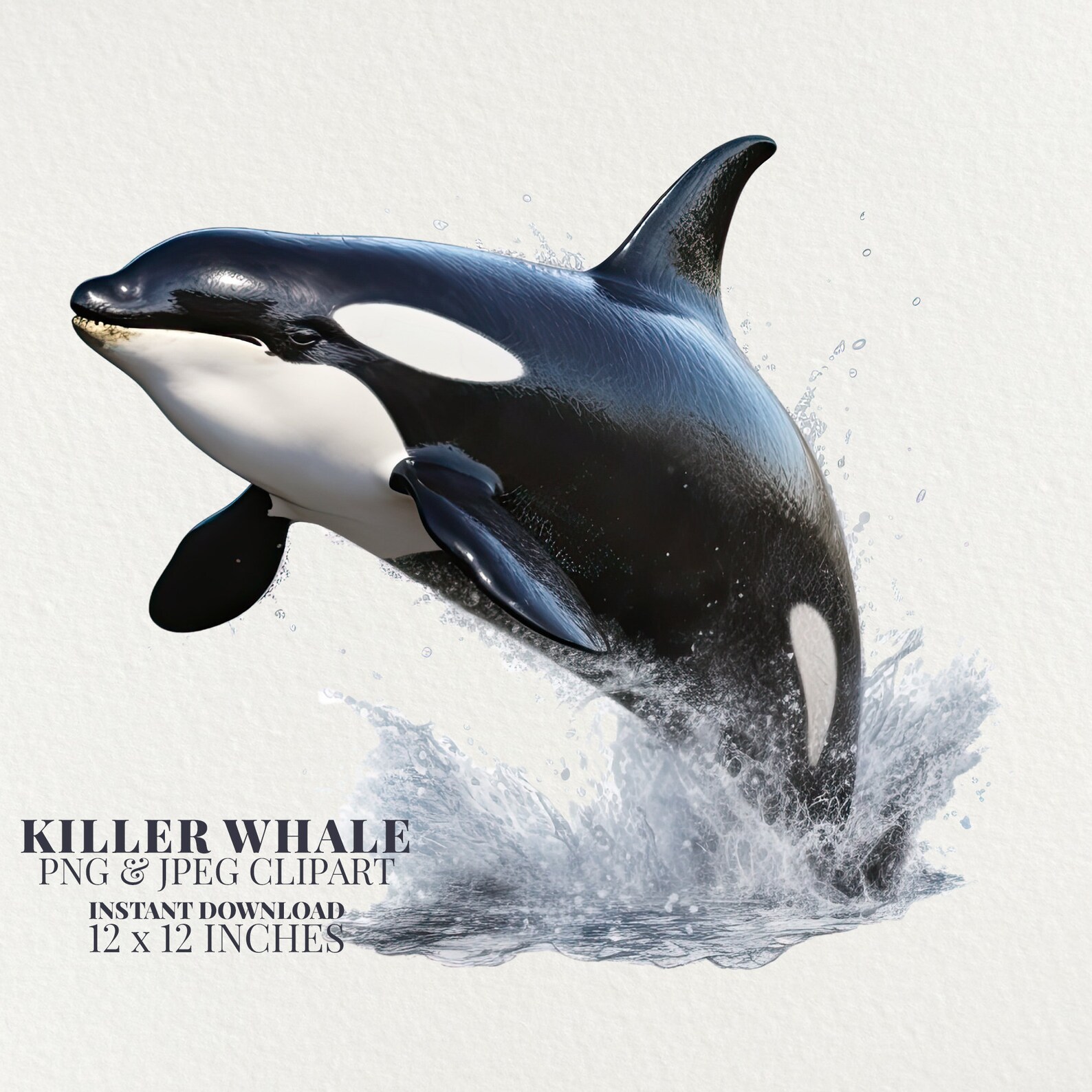 Orca Watercolor PNG Commercial Use Clip Art, Sea Art Clipart PNG ...