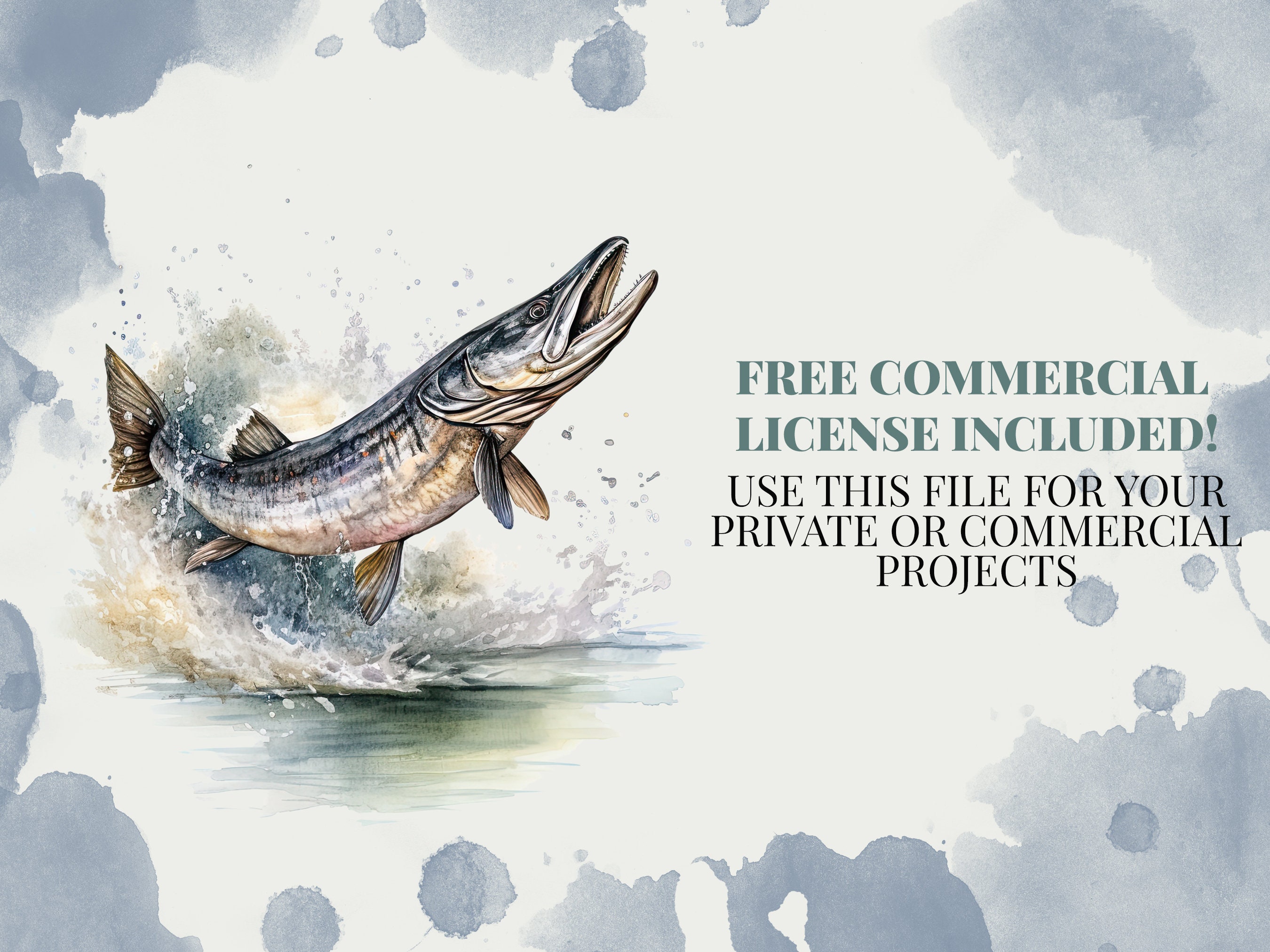 Musky Watercolor PNG Commercial Use Clip Art, Muskie Clipart PNG ...