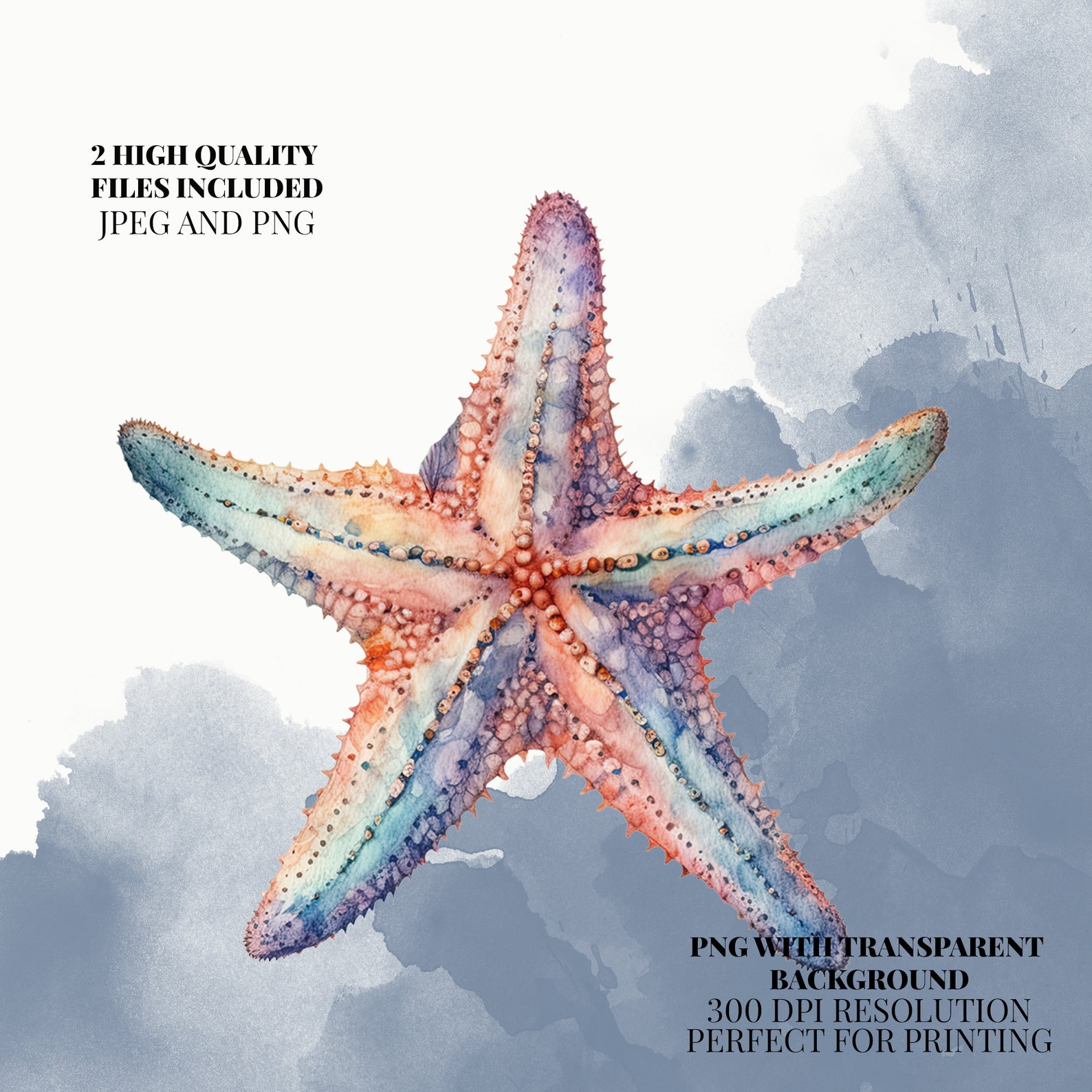 Starfish Watercolor PNG Commercial Use Clip Art, 4 Ocean Clipart PNG ...