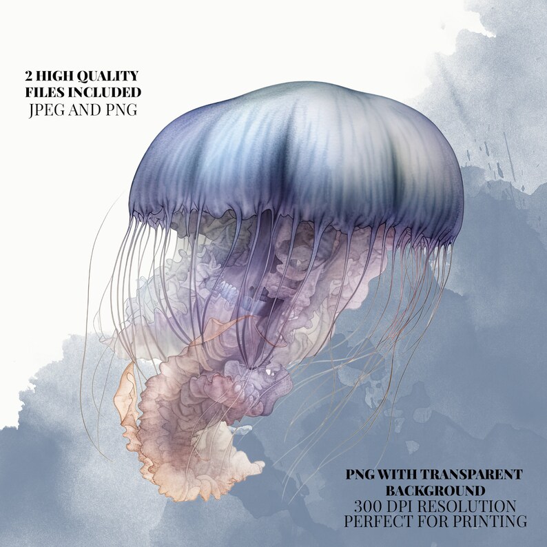 Jellyfish Watercolor PNG Commercial Use Clip Art, Sea Art Clipart PNG ...