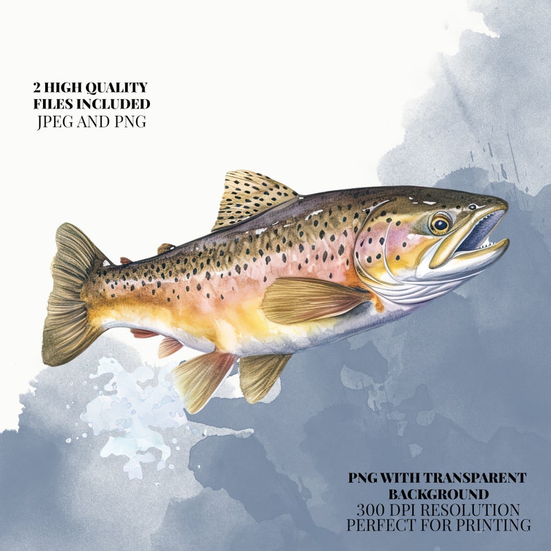 Freshwater Fish Watercolor PNG Commercial Use Clip Art Bundle, Set of ...