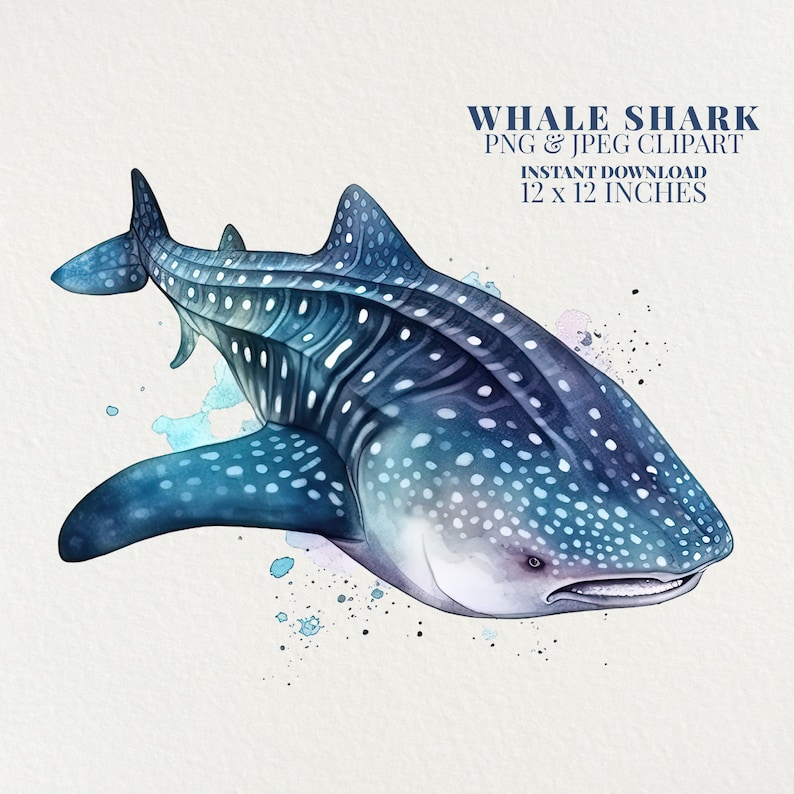 Whale Shark Watercolor PNG Commercial Use Clip Art, Sea Art Clipart PNG ...