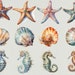 Ocean & Sea Watercolor PNG Commercial Use Clip Art Bundle, Set of 48 ...