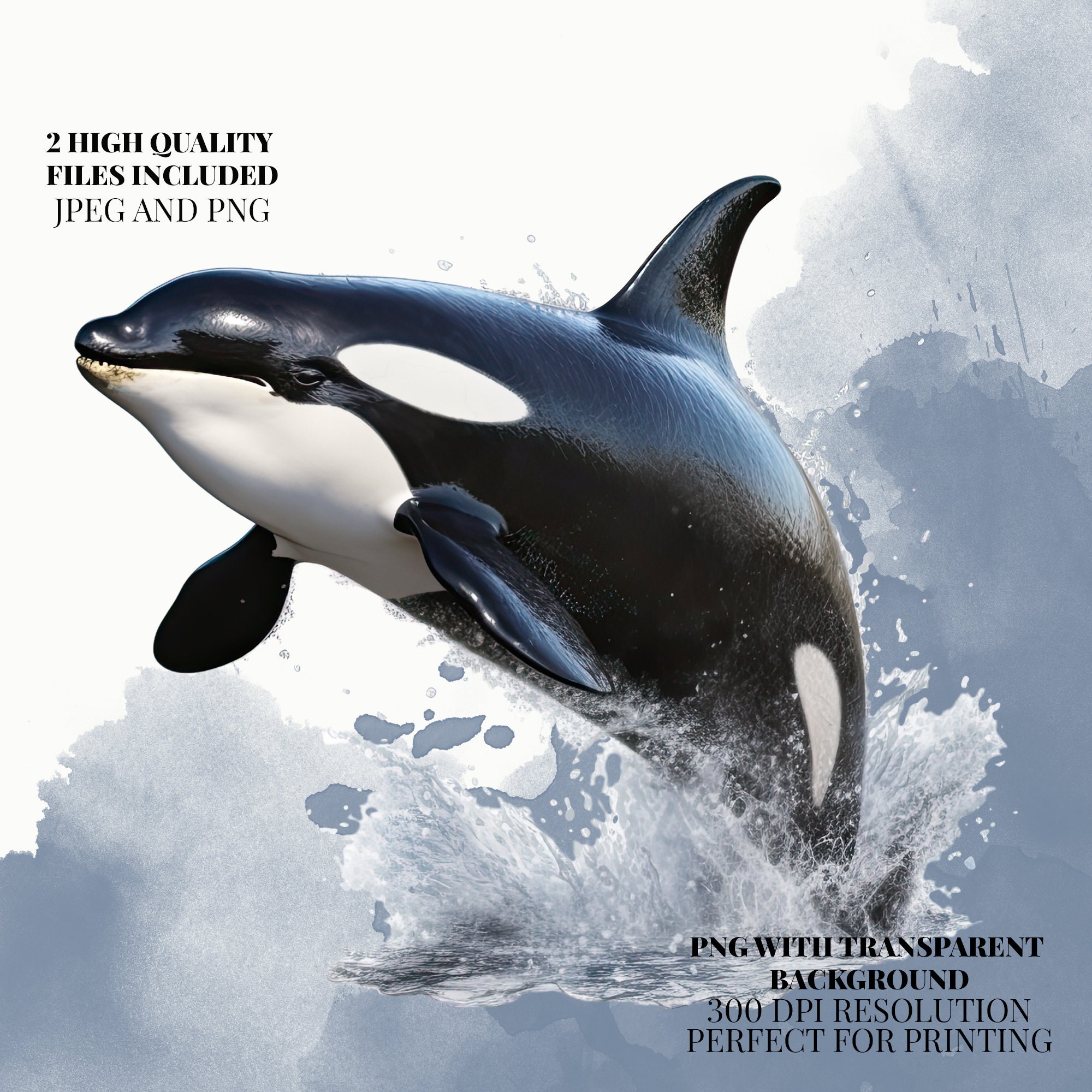 Orca Watercolor PNG Commercial Use Clip Art, Sea Art Clipart PNG ...