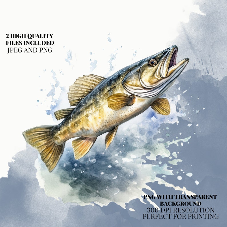 Walleye Watercolor PNG Commercial Use Clip Art, Fish Art Clipart PNG ...