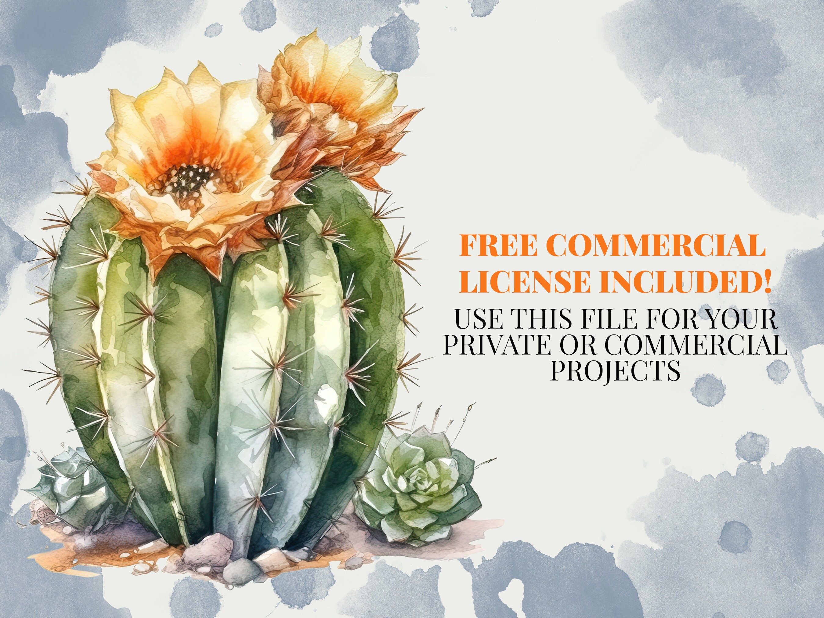 Watercolor Cactus Clip Art Bundle PNG Commercial Use, Set of 42 High ...