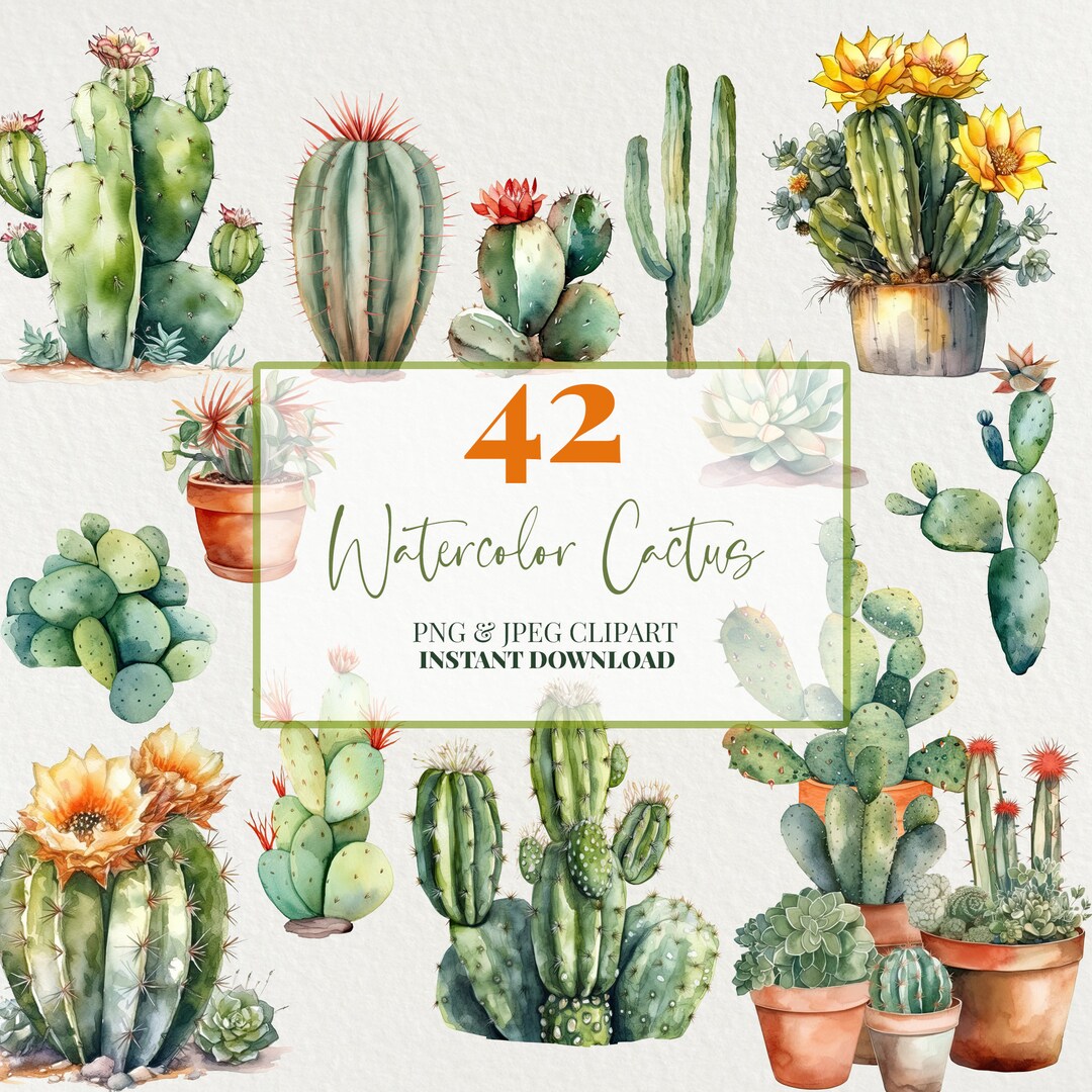 Watercolor Cactus Clip Art Bundle PNG Commercial Use, Set of 42 High ...