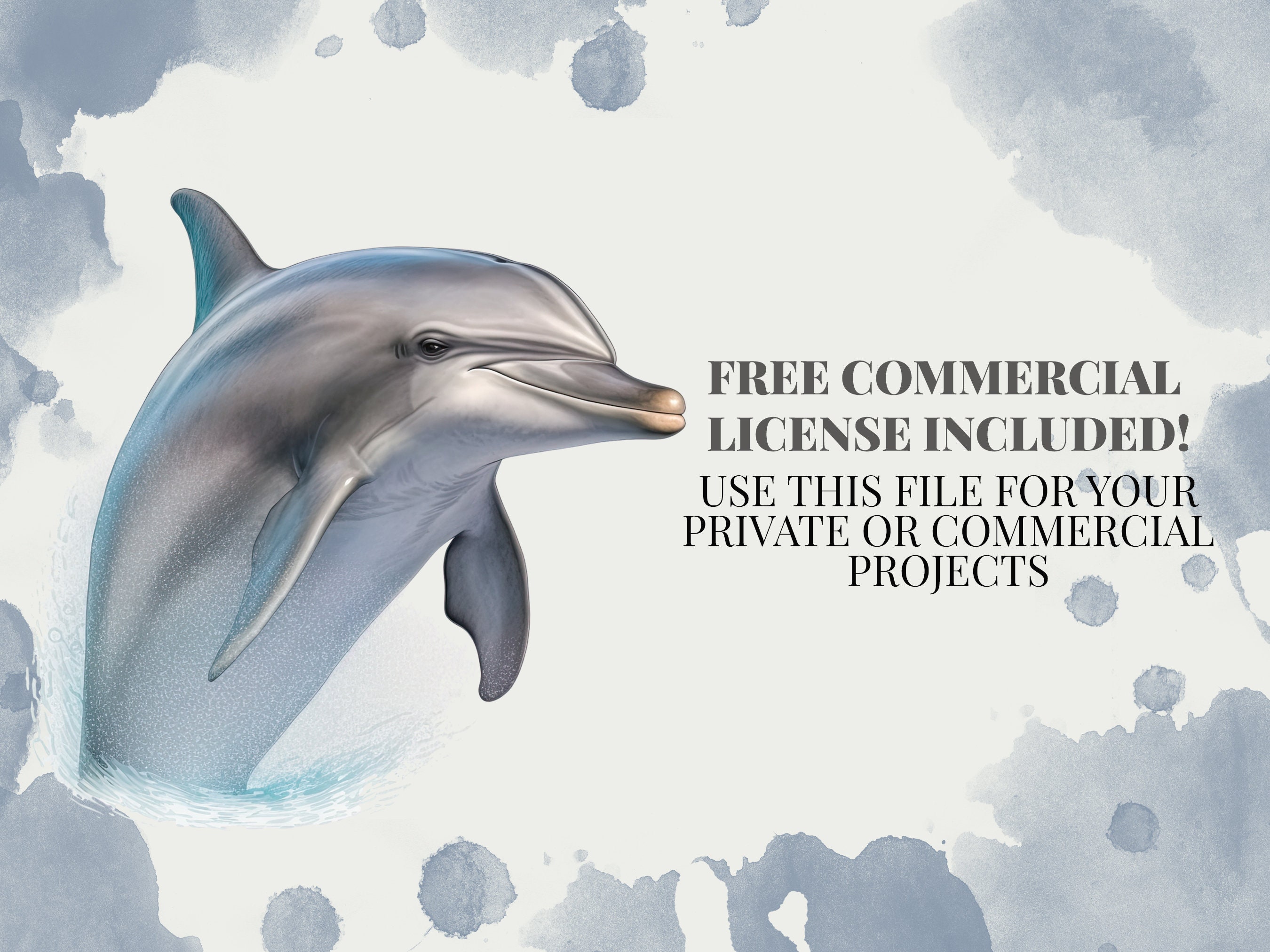 Dolphin Watercolor PNG Commercial Use Clip Art, Sea Art Clipart PNG ...