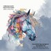 Horse Watercolor PNG Commercial Use Clip Art Rainbow Horse - Etsy