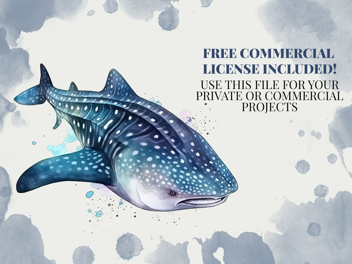 Whale Shark Watercolor PNG Commercial Use Clip Art Sea Art - Etsy