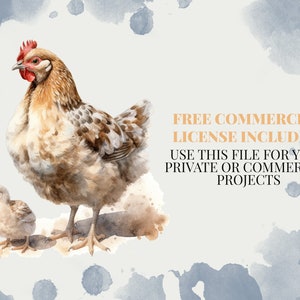 Farm Chicken & Chick Watercolor PNG Commercial Use Clip Art, Watercolor ...