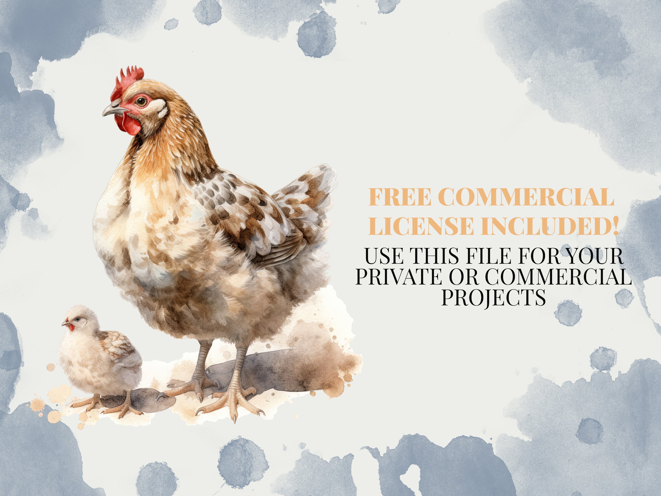 Farm Chicken & Chick Watercolor PNG Commercial Use Clip Art, Watercolor ...