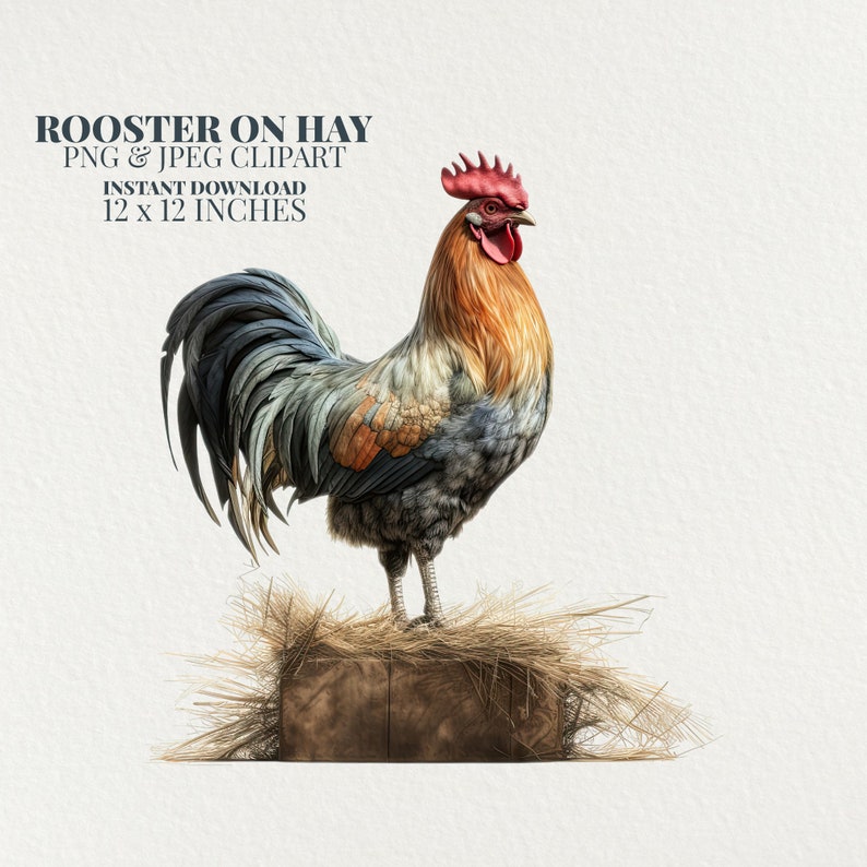 Rooster Watercolor PNG Commercial Use Clip Art Watercolor - Etsy