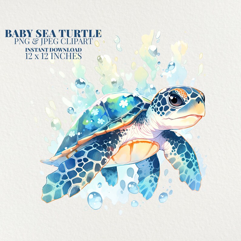 Cute Baby Sea Turtle Watercolor PNG Commercial Use Clip Art - Etsy
