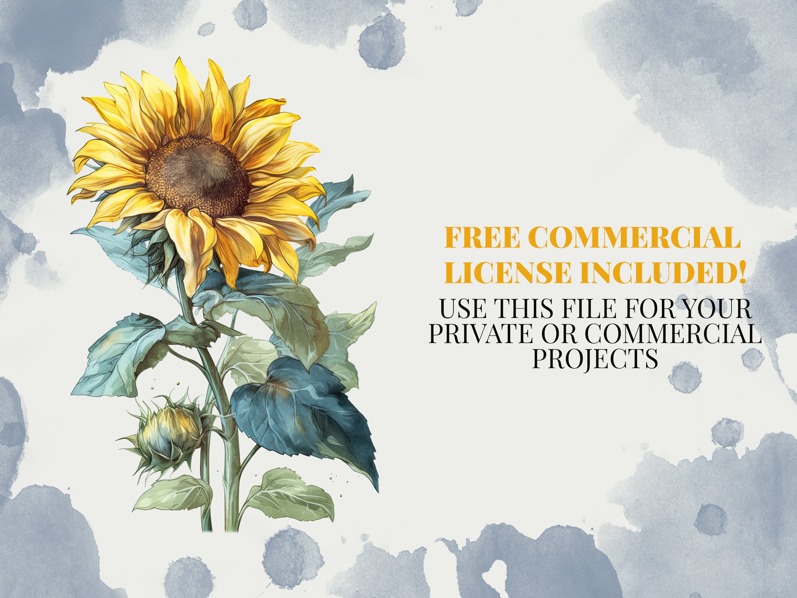 Watercolor Sunflower PNG Commercial Use Clip Art Bundle Set - Etsy