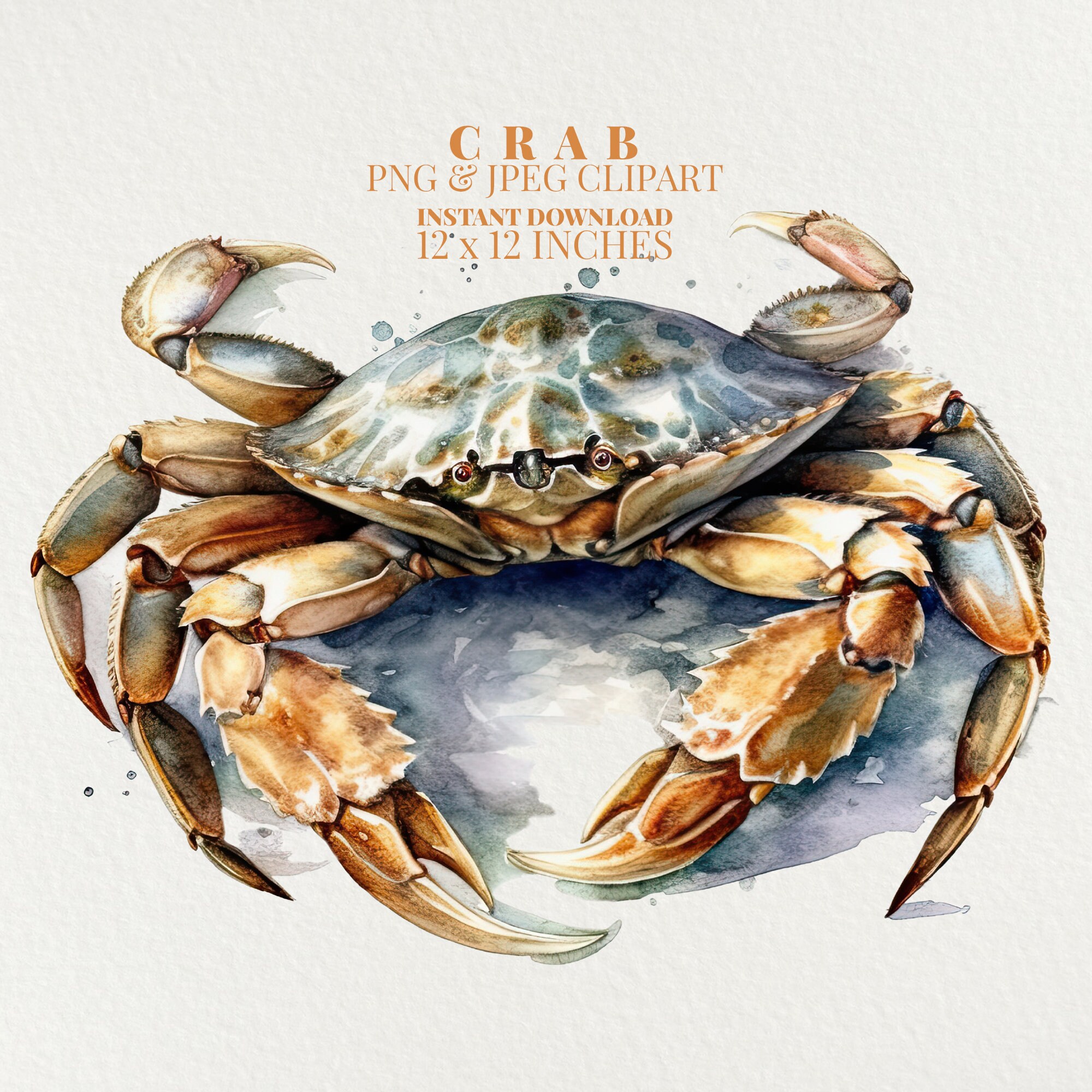 Crab Watercolor PNG Commercial Use Clip Art, Sea Art Clipart PNG ...